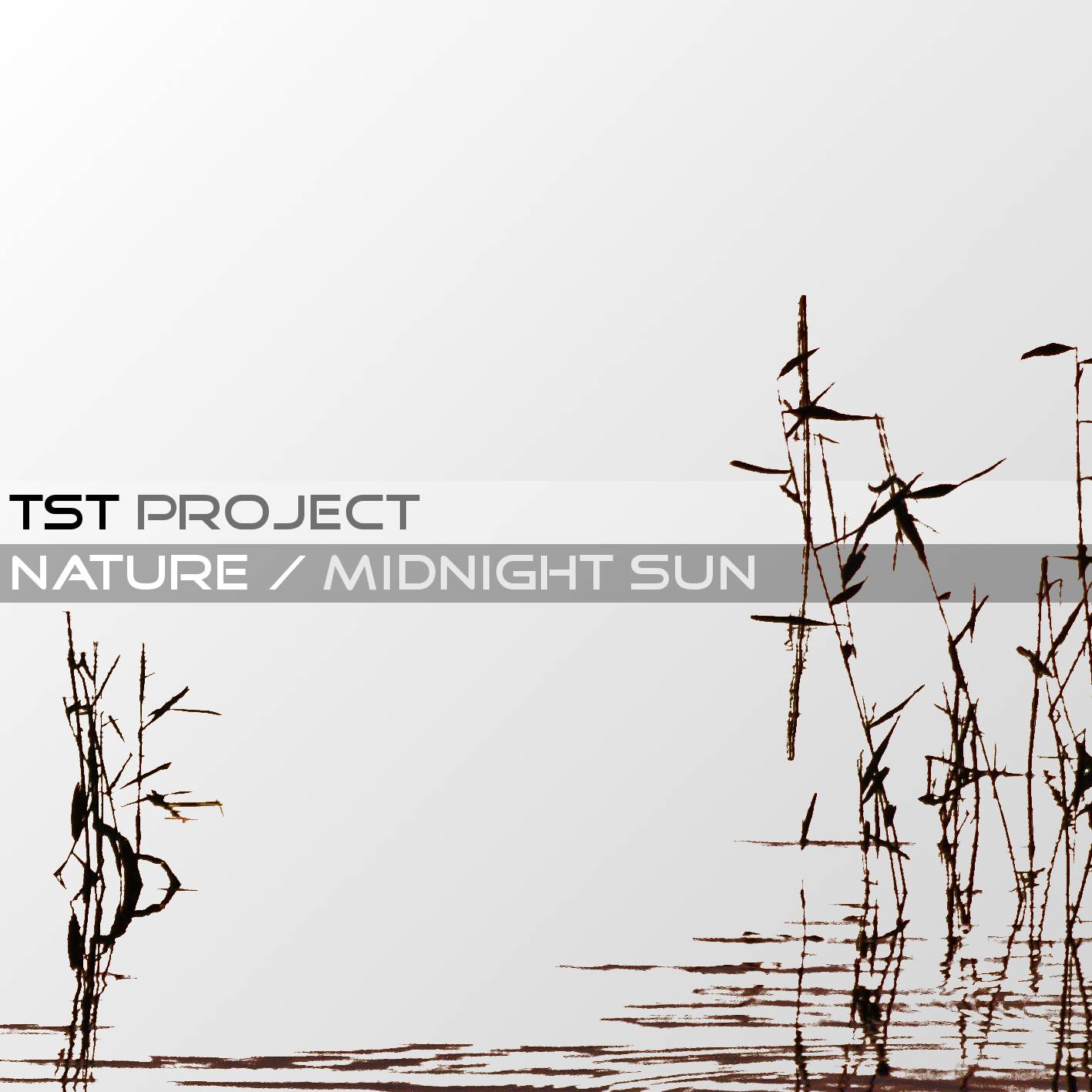 TST Project’s debut EP “Nature / Midnight Sun” available NOW! – TST ...